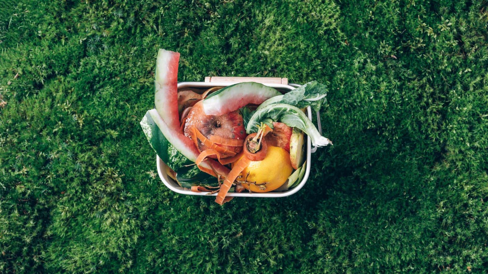 GEME Electric Composter - Compost Machine for Kitchen and Home | GEME