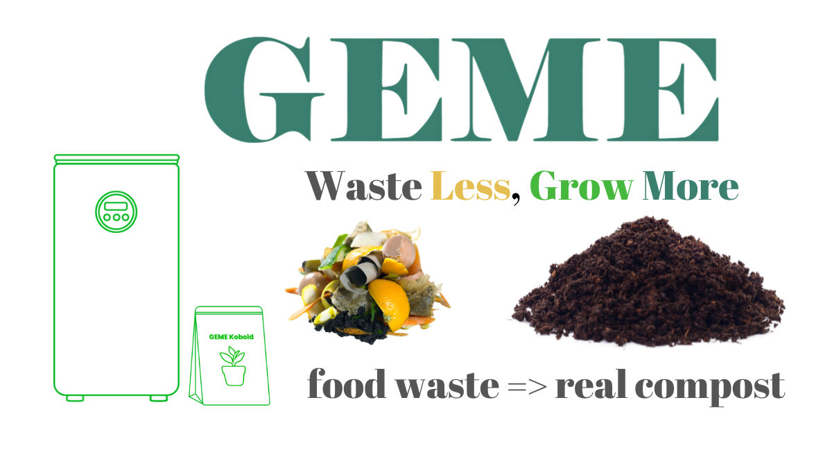 How to Use Compost Correctly? A Complete Beginner’s Guide 2025